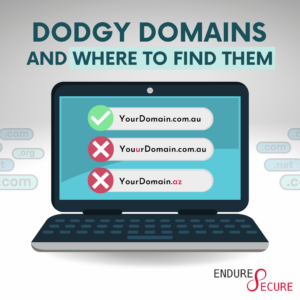 Dodgy Domains and Where to Find Them - Endure Secure